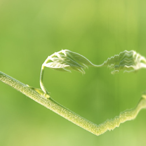 Upcoming Events | Open Space Authority